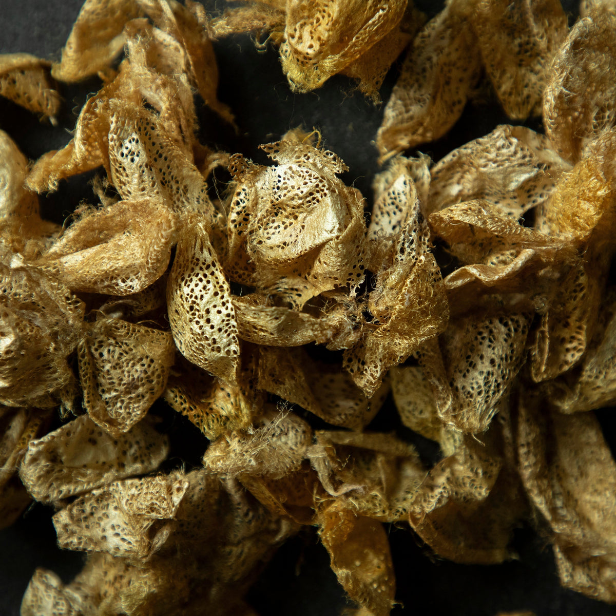 Uncover the Hidden Chemicals in Standard Silk – Silk & Willow