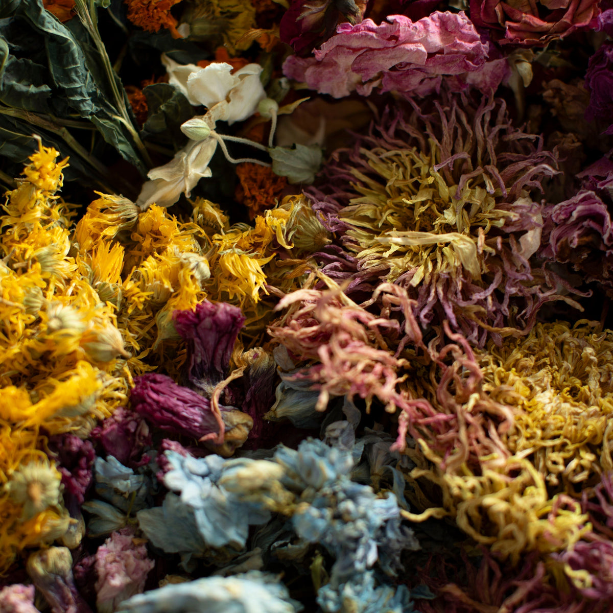 The Hidden Cost of Color: Toxic Chemicals in Conventional Textile Dyes ...
