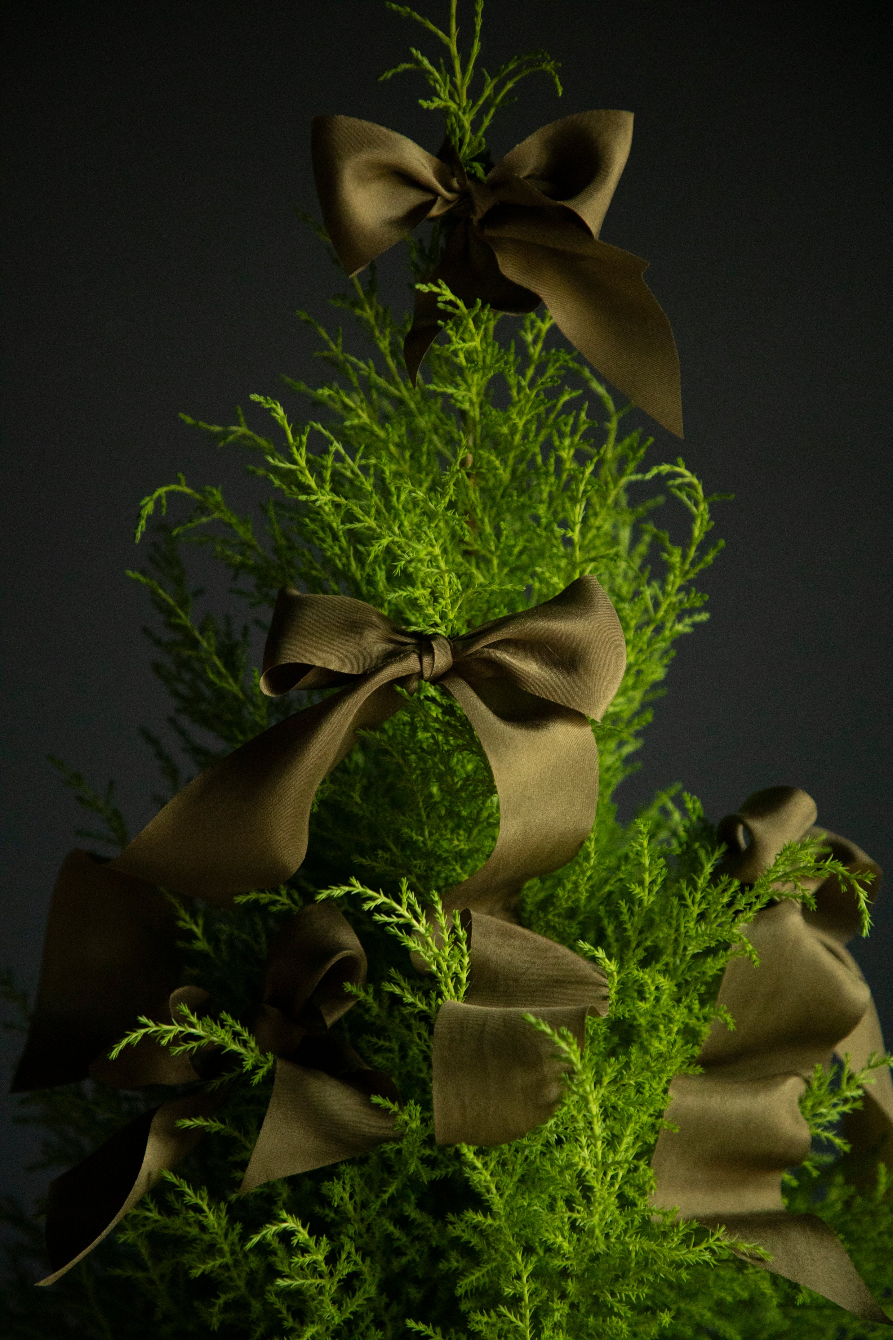 Forest green silk ribbon – Silk & Willow