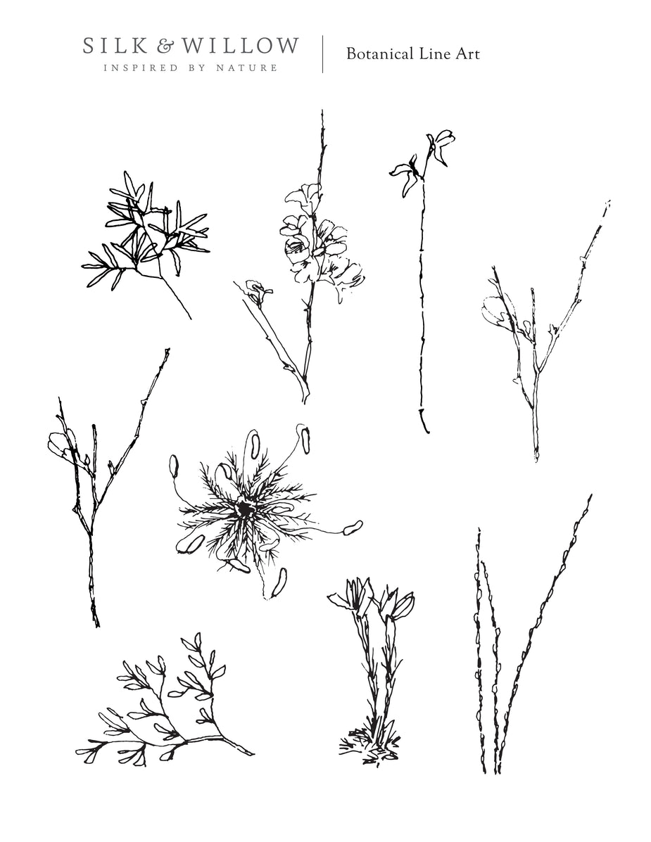 Botanical Line Art {Full Set} Digital Download – Silk & Willow